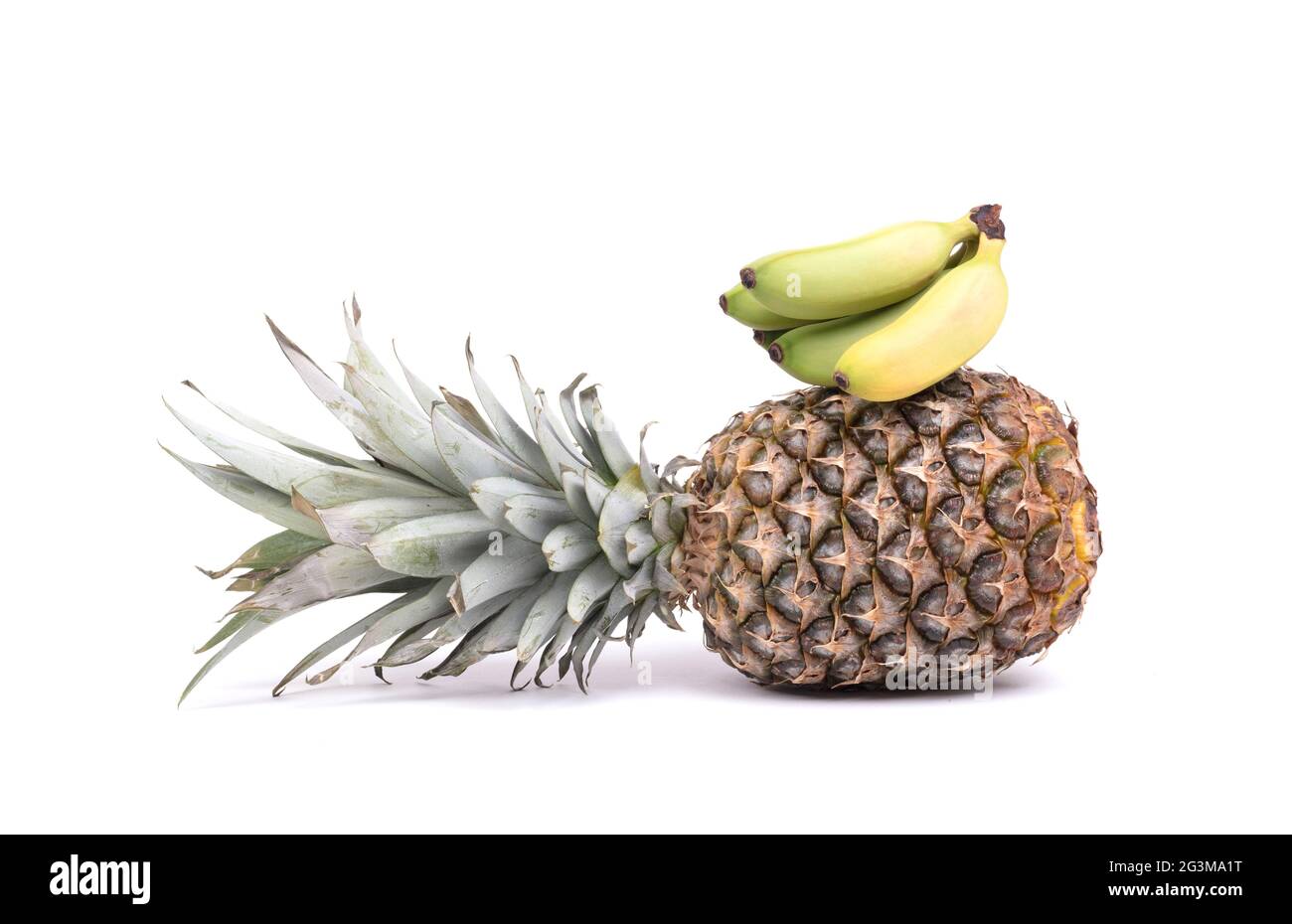 Small tropical banana cluster with big pineapple Stock Photo - Alamy