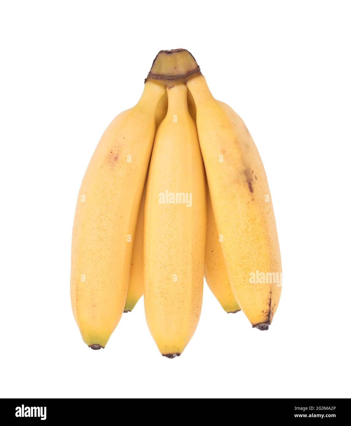 Small tropical banana cluster Stock Photo - Alamy