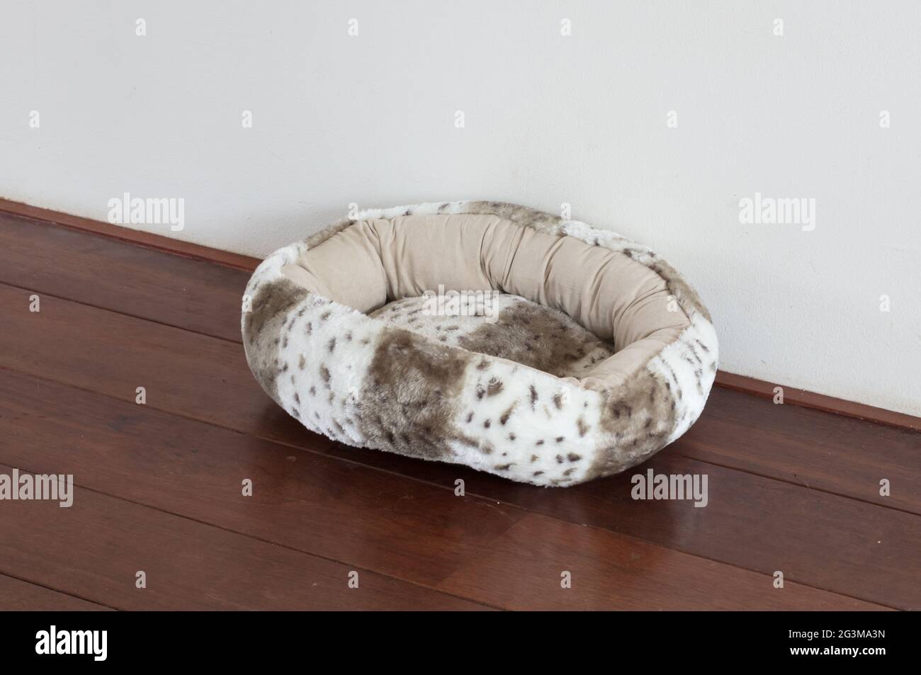 Fluffy basket for a cat Stock Photo - Alamy