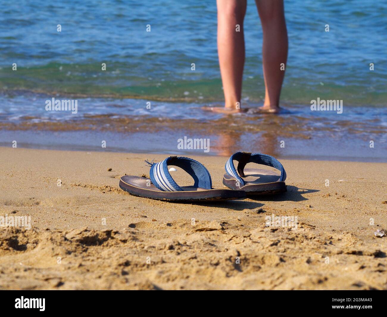 flippers on sand and man walking in water in background Stock Photo - Alamy