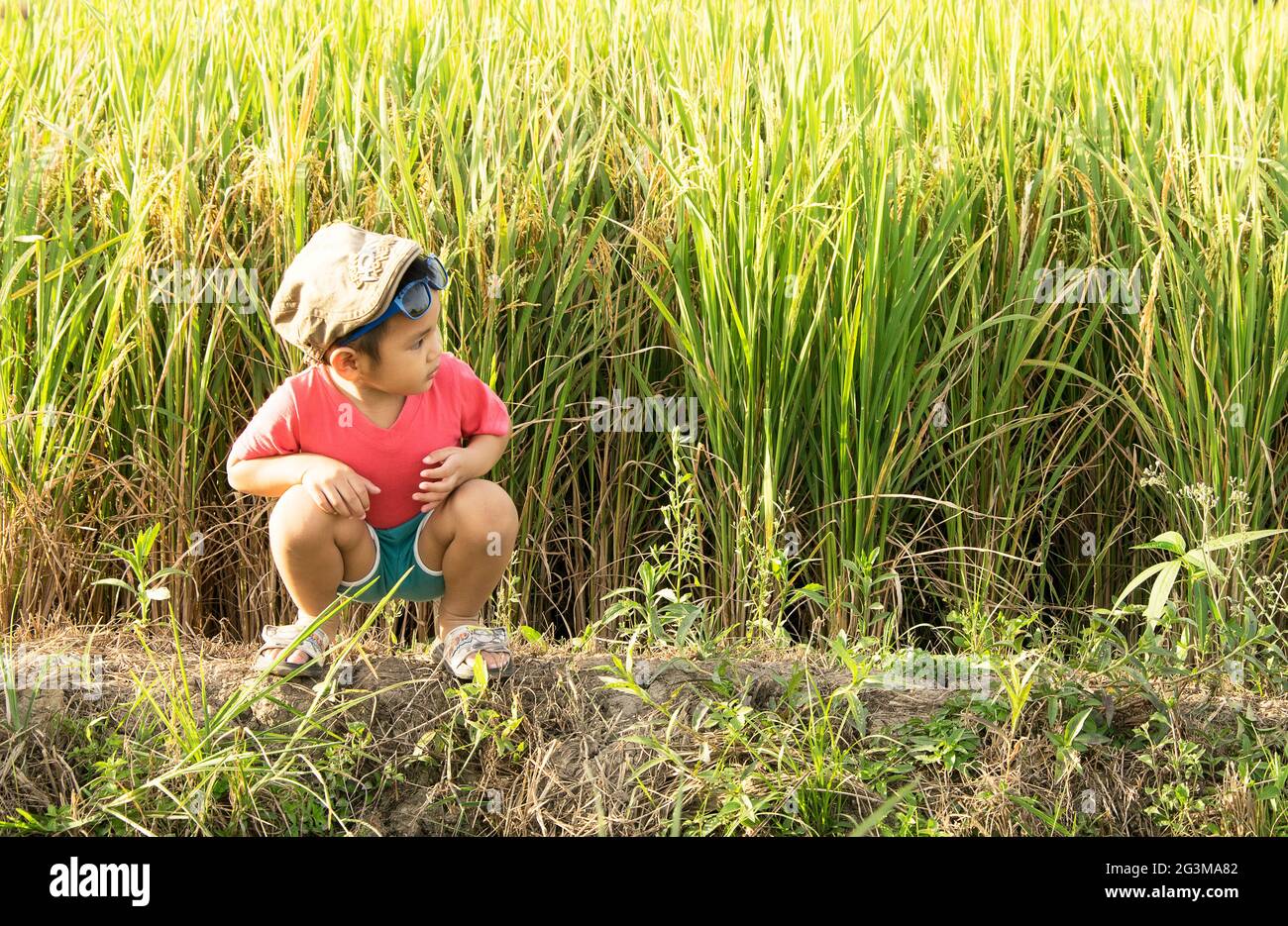 Boy in rice field hi-res stock photography and images - Alamy
