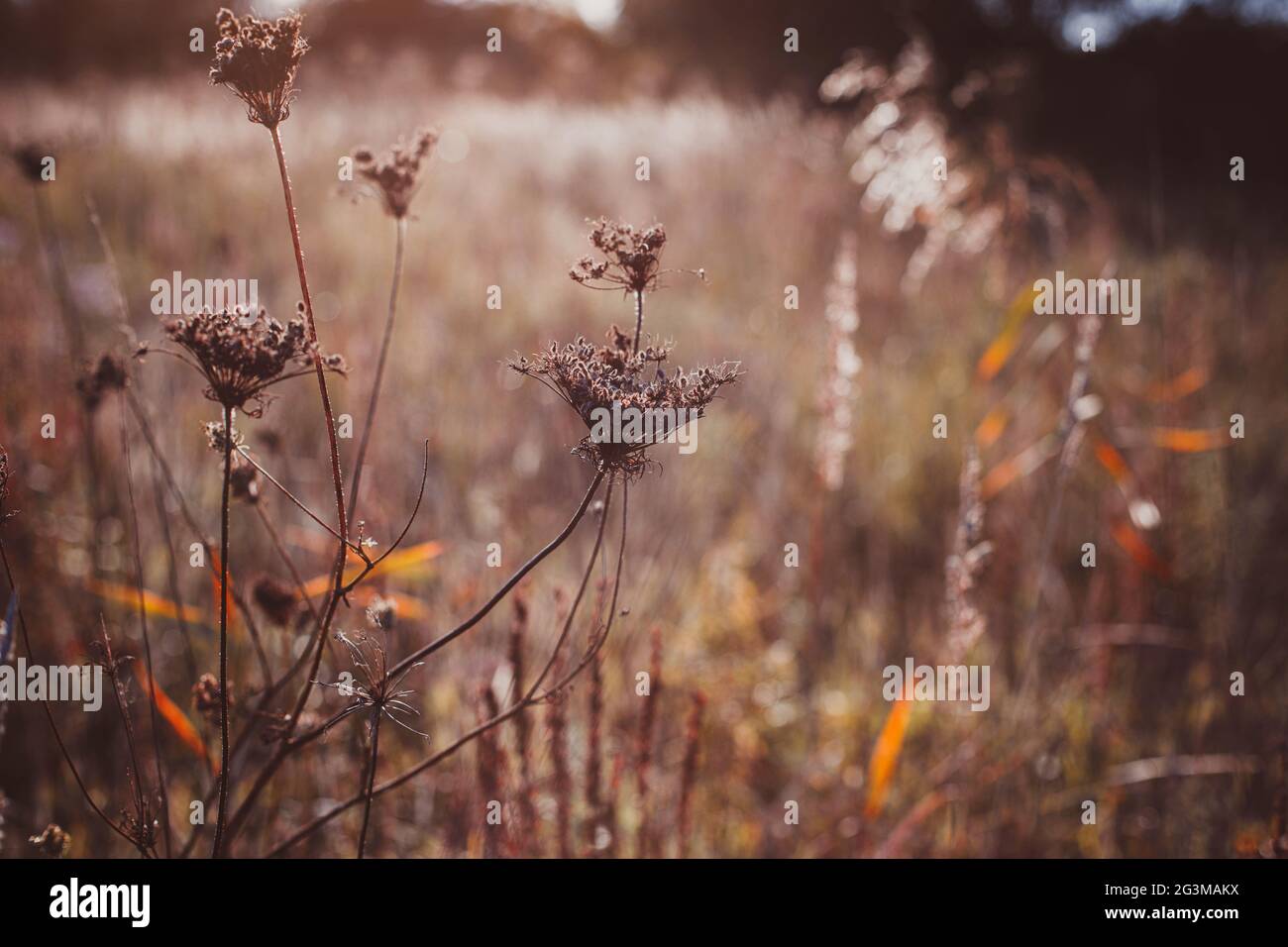 Hello autumn landscape hi-res stock photography and images - Alamy