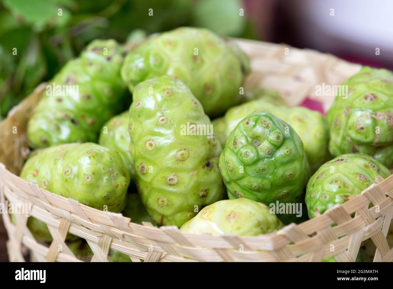 exotic fruit / great morinda, Indian mulberry, beach mulberry, Tahitian ...