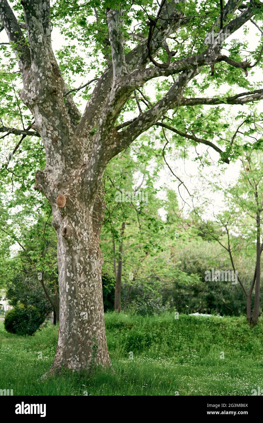 Sprawling structure hi-res stock photography and images - Alamy