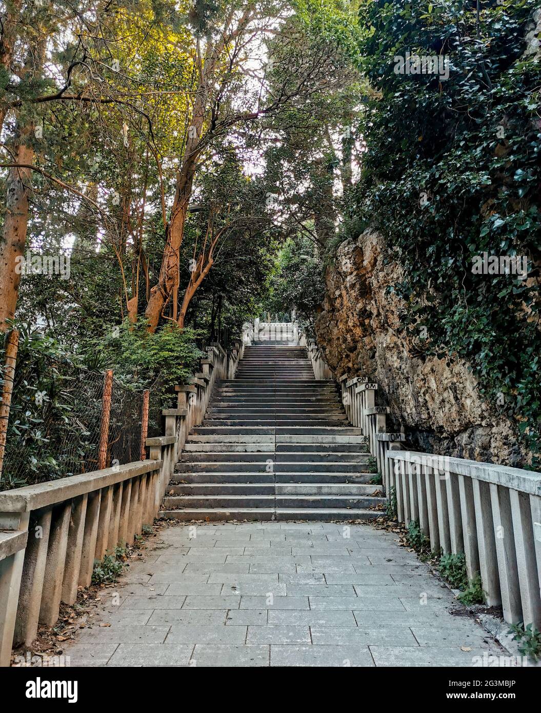 Concrete stairs uphill in beautiful park with tall trees Stock Photo ...