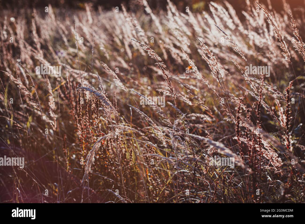 Hello autumn landscape hi-res stock photography and images - Alamy