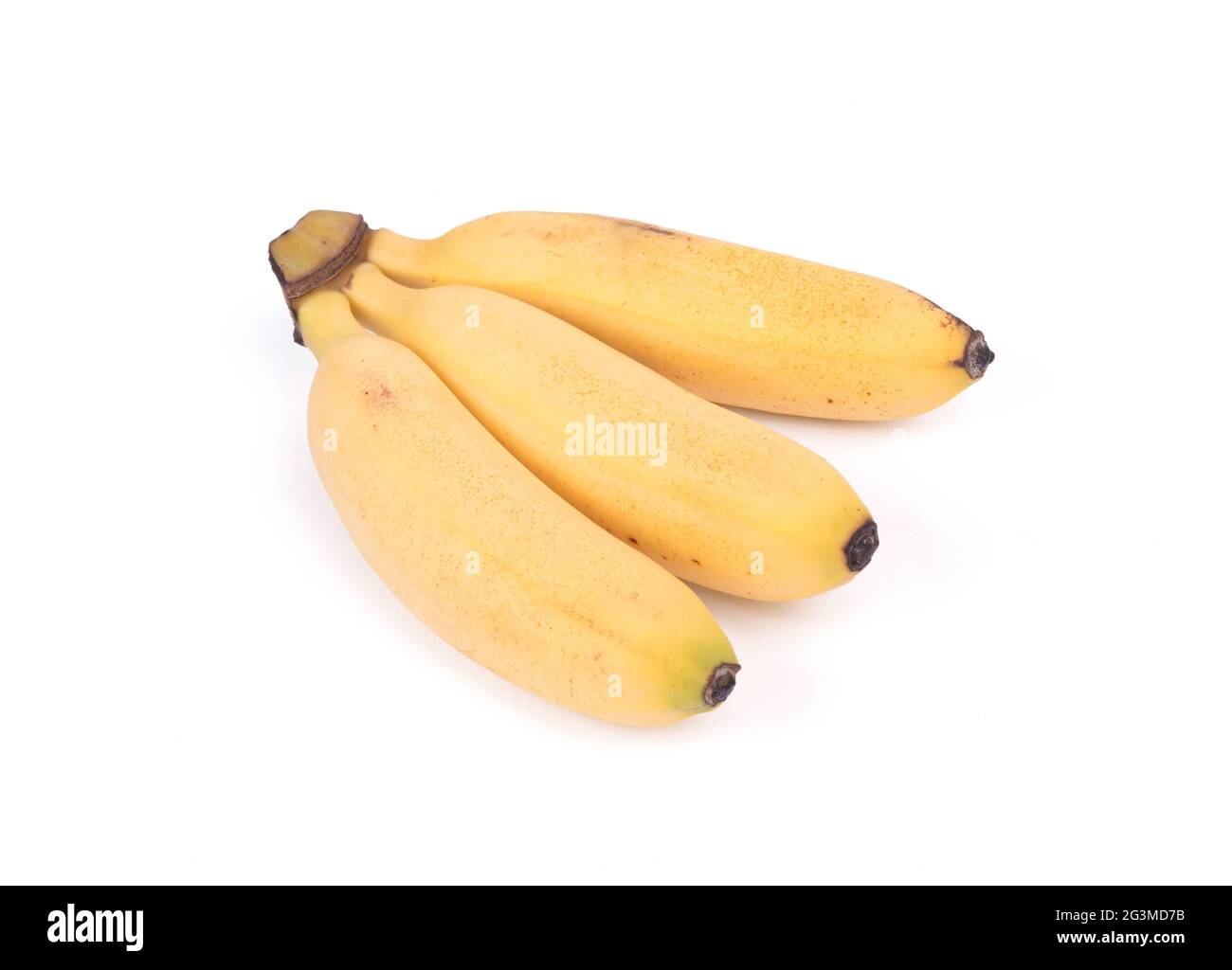 Small tropical banana cluster Stock Photo - Alamy
