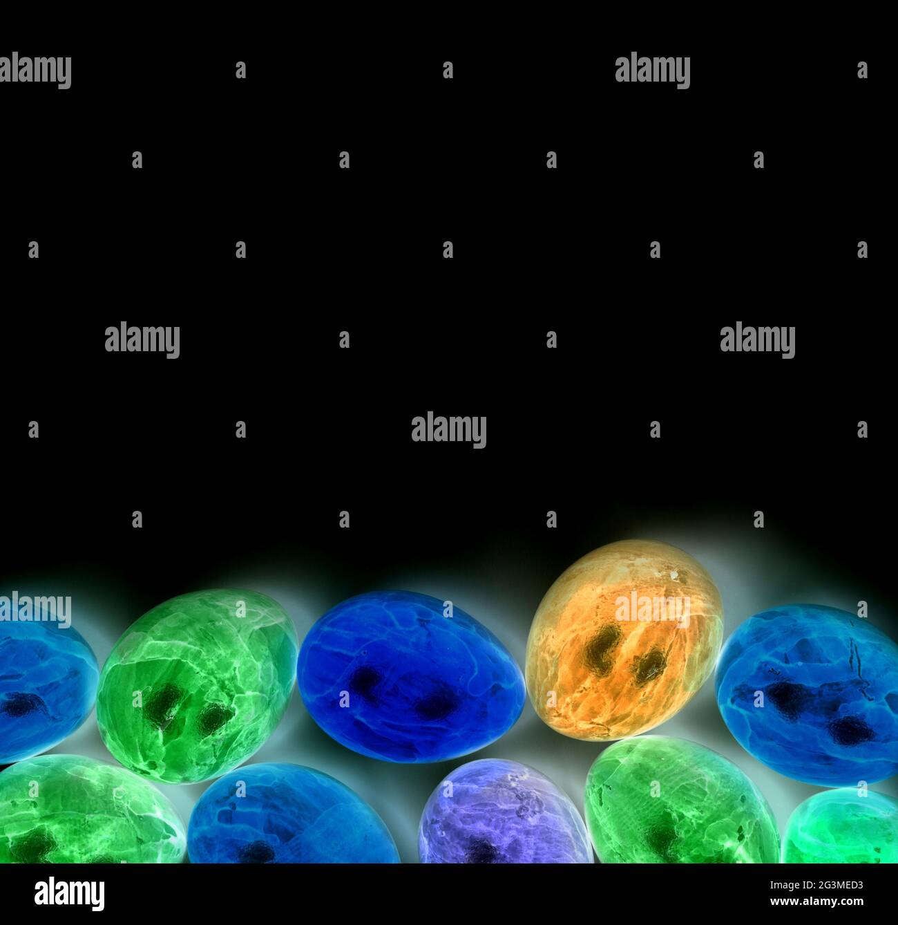 X ray eggs hi-res stock photography and images - Alamy