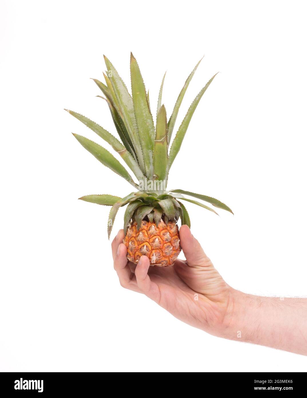 Mini fruit pineapple Stock Photo - Alamy