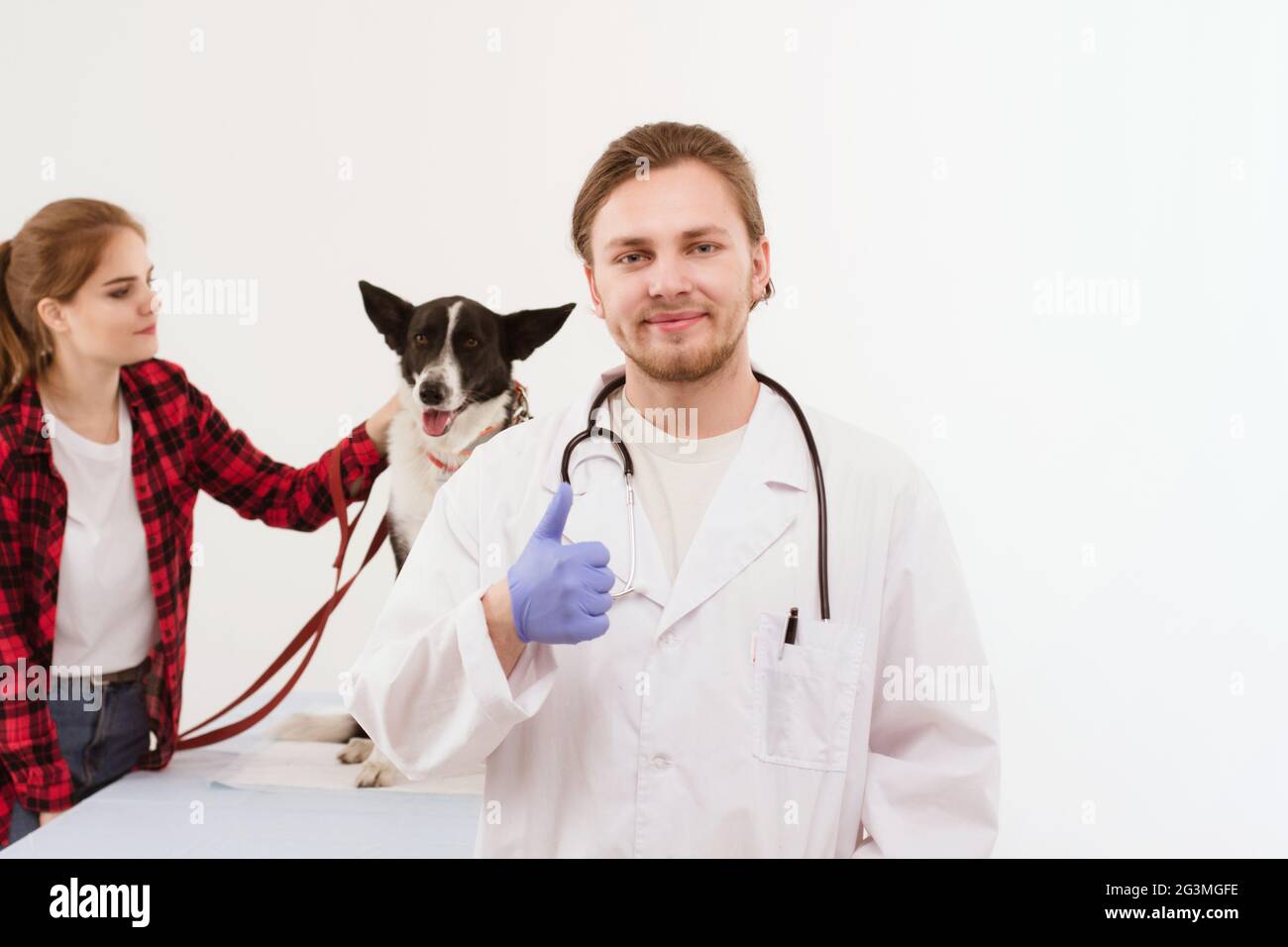 Dog getting checked at vet with their owner Stock Photo - Alamy