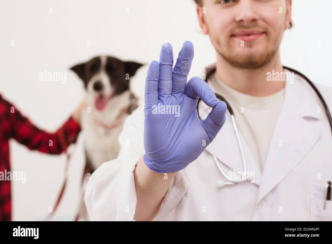 Pet ok hi-res stock photography and images - Alamy