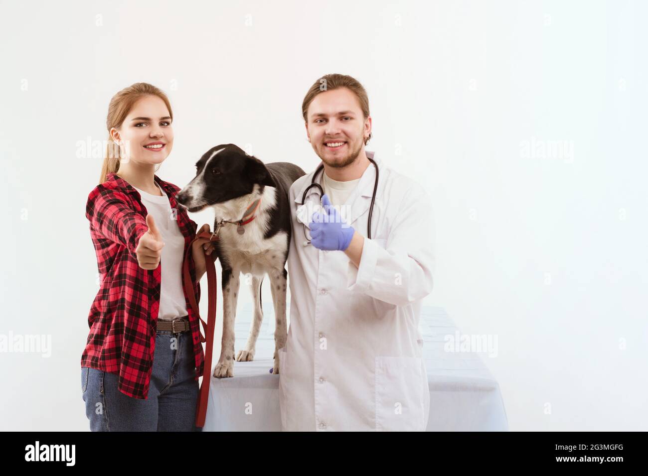 Dog getting checked at vet with their owner Stock Photo - Alamy