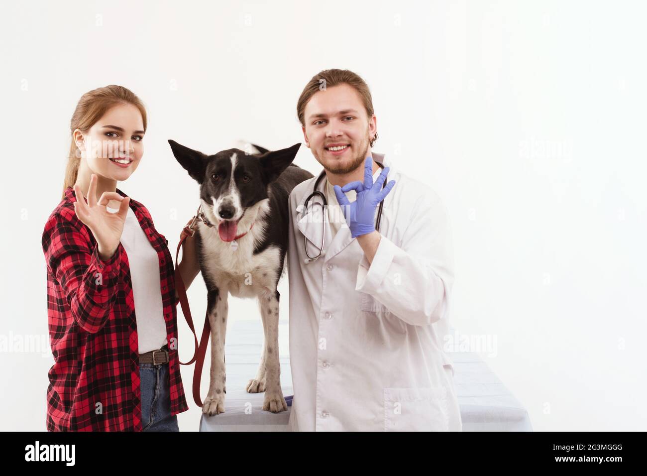 Vet checked hi-res stock photography and images - Alamy
