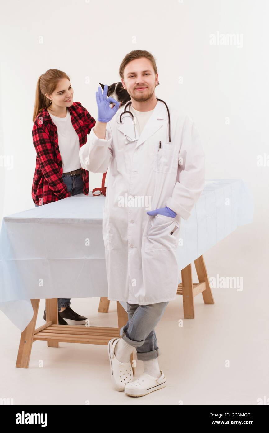 Dog getting checked at vet with their owner Stock Photo - Alamy
