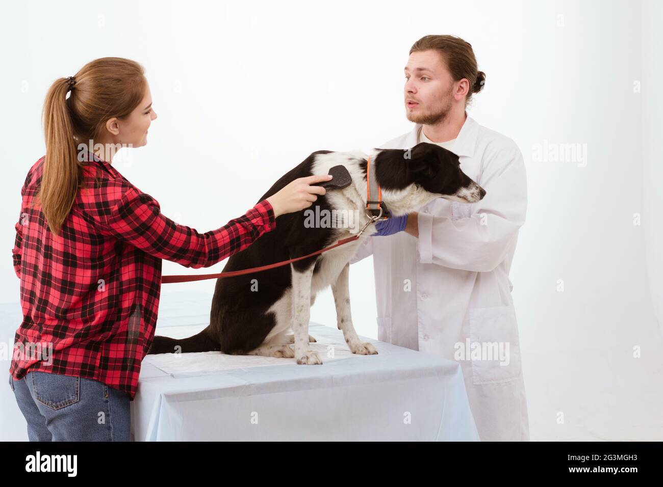 Dog getting checked at vet clinic with thir owner Stock Photo - Alamy