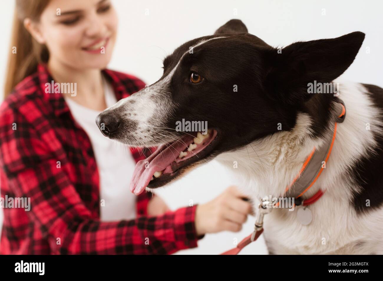 Dog getting checked at vet clinic with thir owner Stock Photo - Alamy
