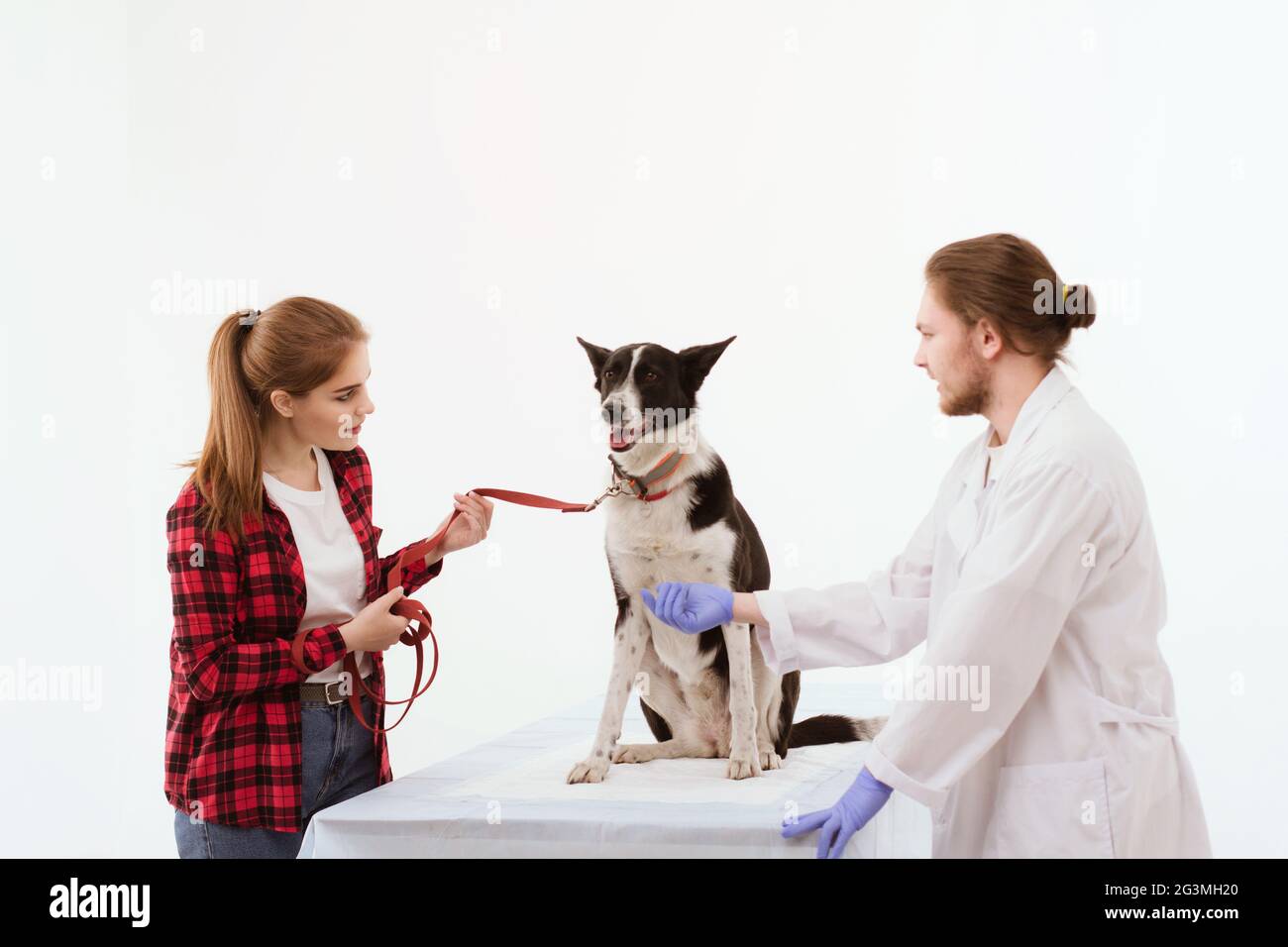 Dog getting checked at vet clinic with thir owner Stock Photo - Alamy