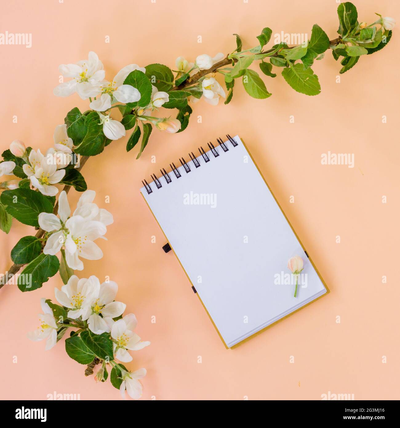 Creative flat lay of blank spiral notepad frame mock up and apple tree ...