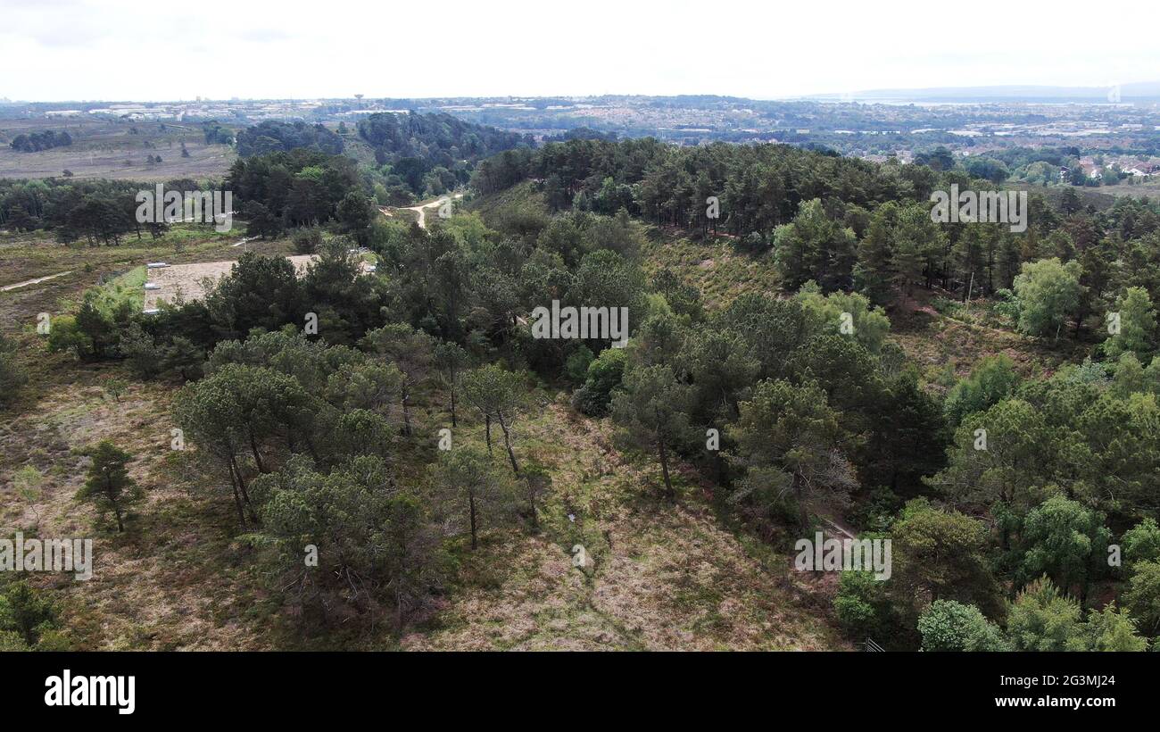 aerial view of heathland and pine trees in Dorset Stock Photo - Alamy