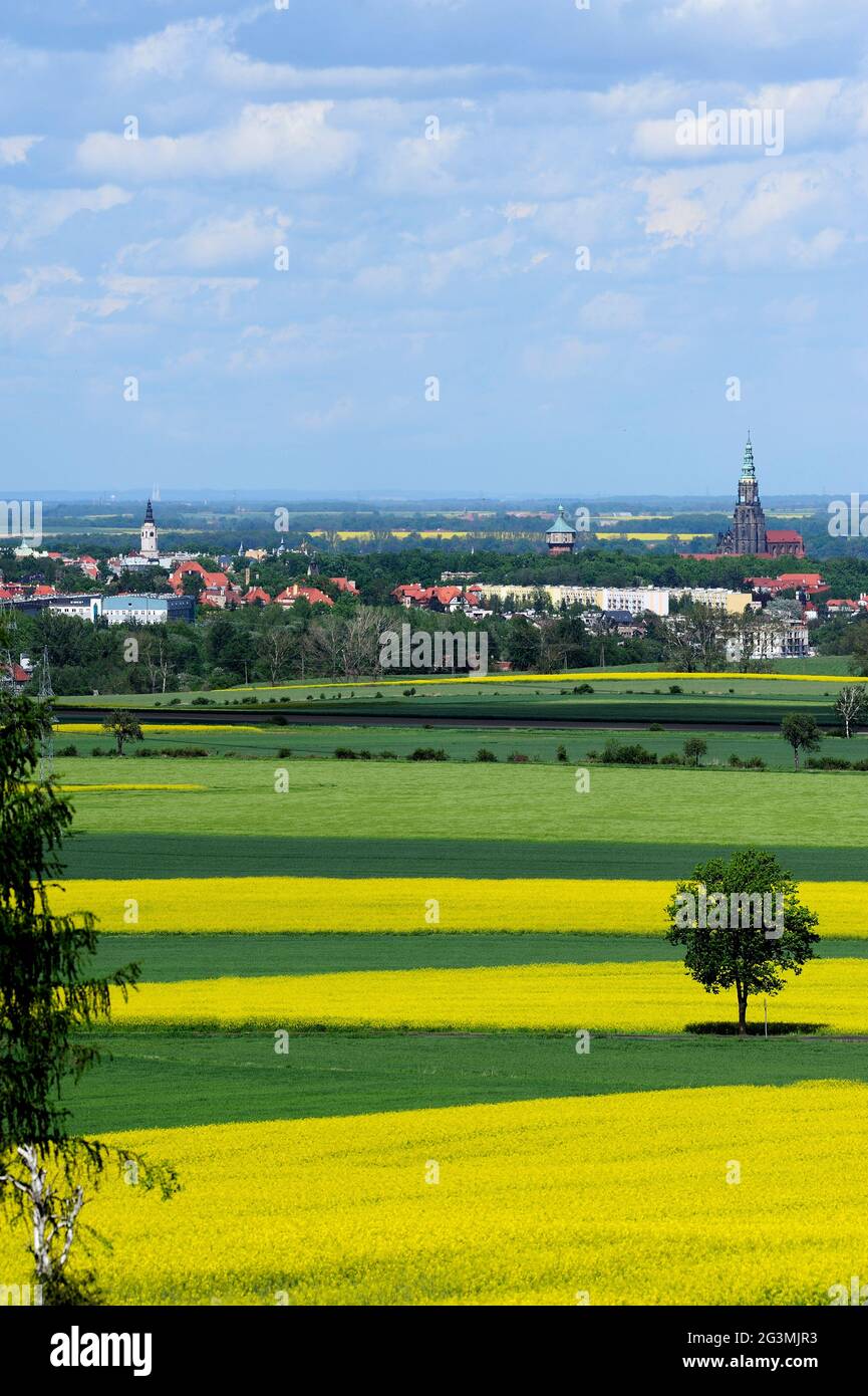 Swidnica, Polska, Poland, Silesia, dolny slask, architecture, travel ...