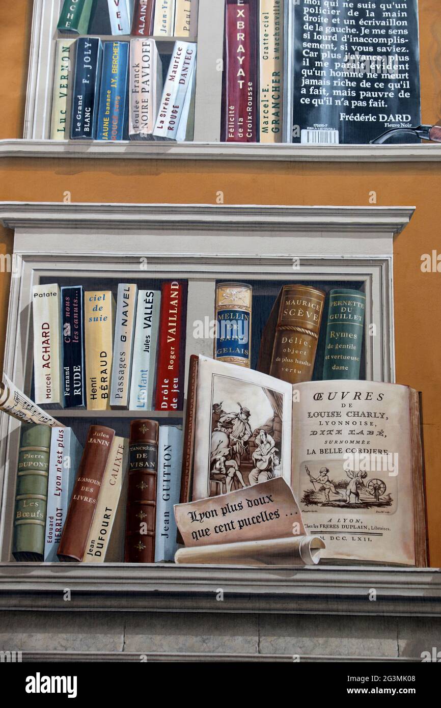 Lyon library hi-res stock photography and images - Alamy