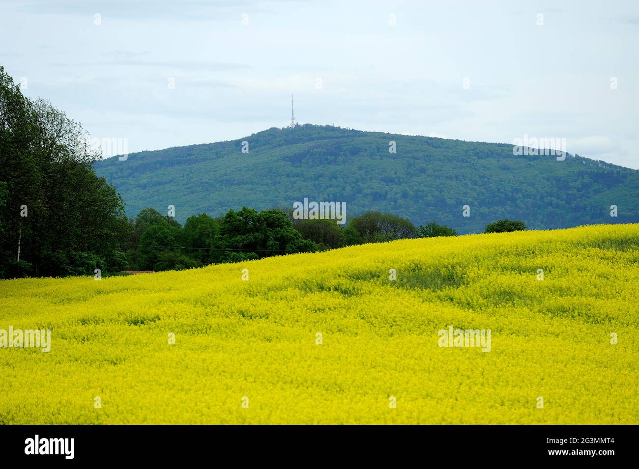 Sleza mountain 718 m above sea level, landscape, Dolnoslaskie, Polska ...