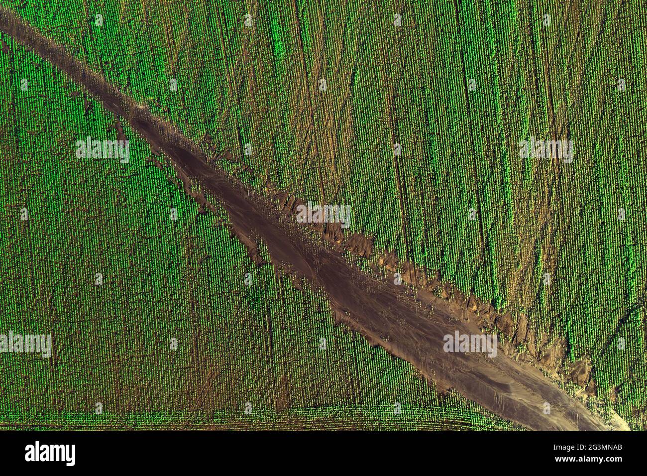 Heavy crust hi-res stock photography and images - Alamy