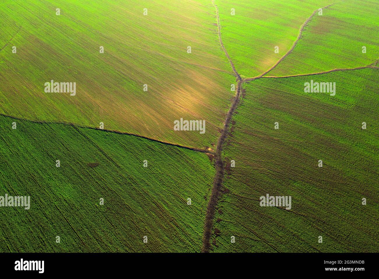 Destroyed agricultural crops by heavy rains view from the drone Stock ...