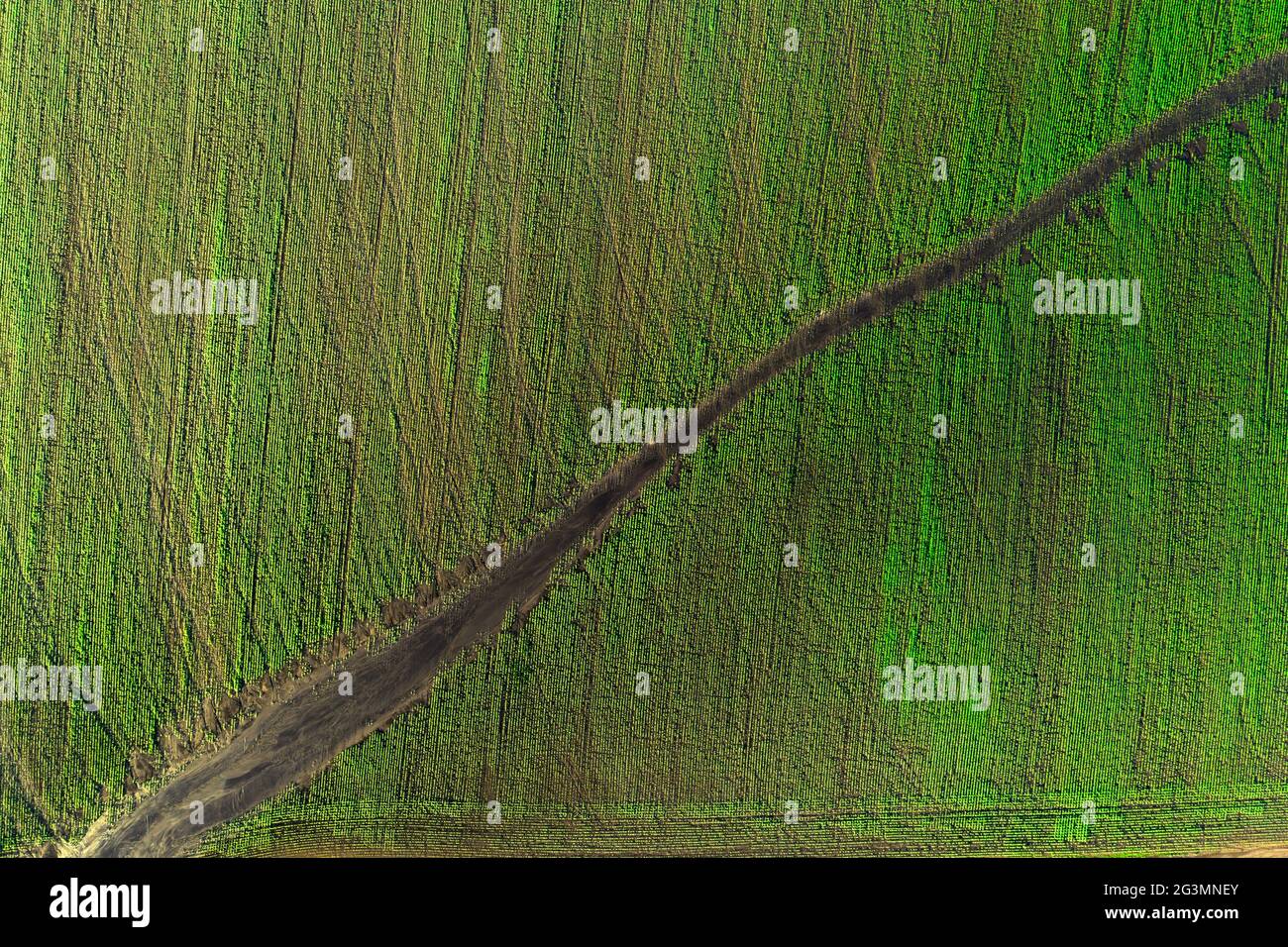 Destroyed agricultural crops by heavy rains view from the drone Stock ...