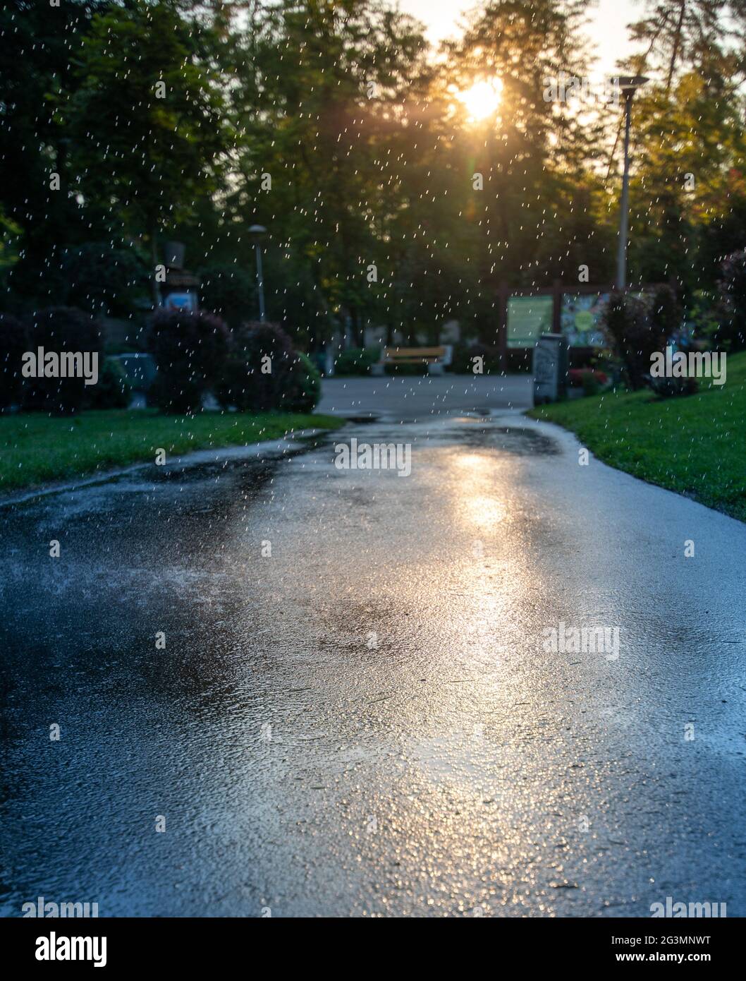 Rain in the summer park. Raindrops fall on the paved path Stock Photo ...