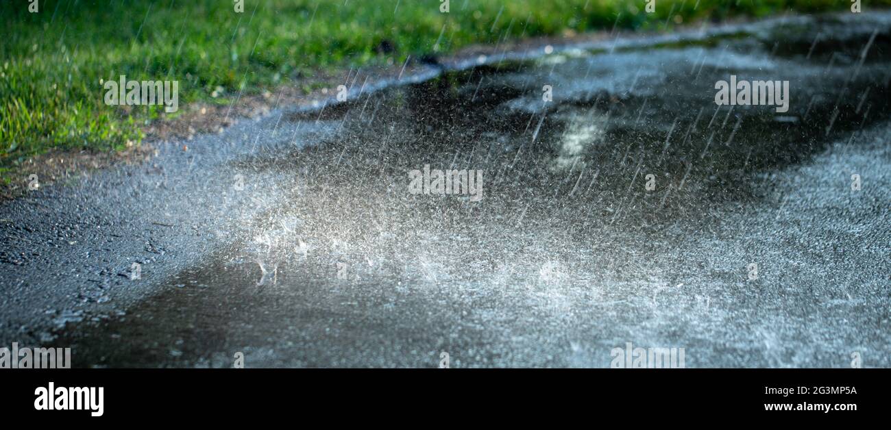 Rain in the summer park. Raindrops fall on the paved path Stock Photo ...