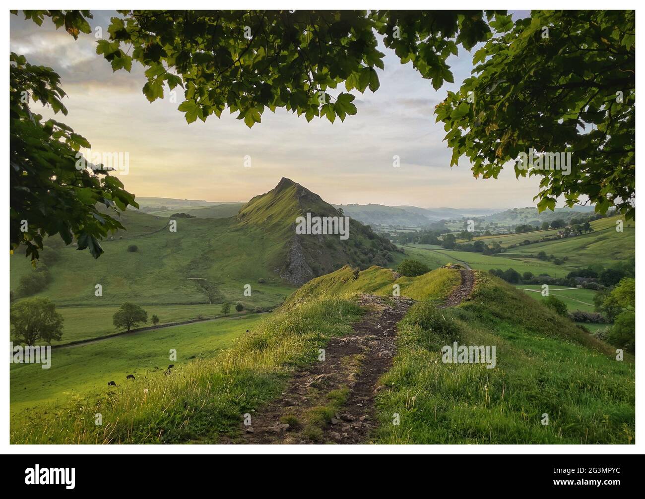 Parkhouse Cut Out Stock Images & Pictures - Alamy