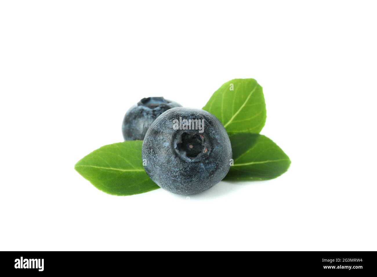 Fresh delicious blueberry isolated on white background Stock Photo - Alamy