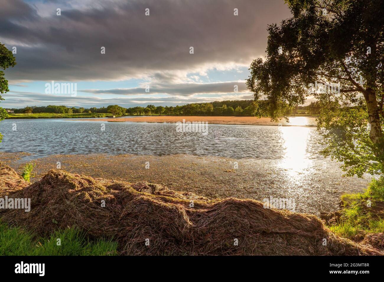 Levenshall lagoons hi-res stock photography and images - Alamy