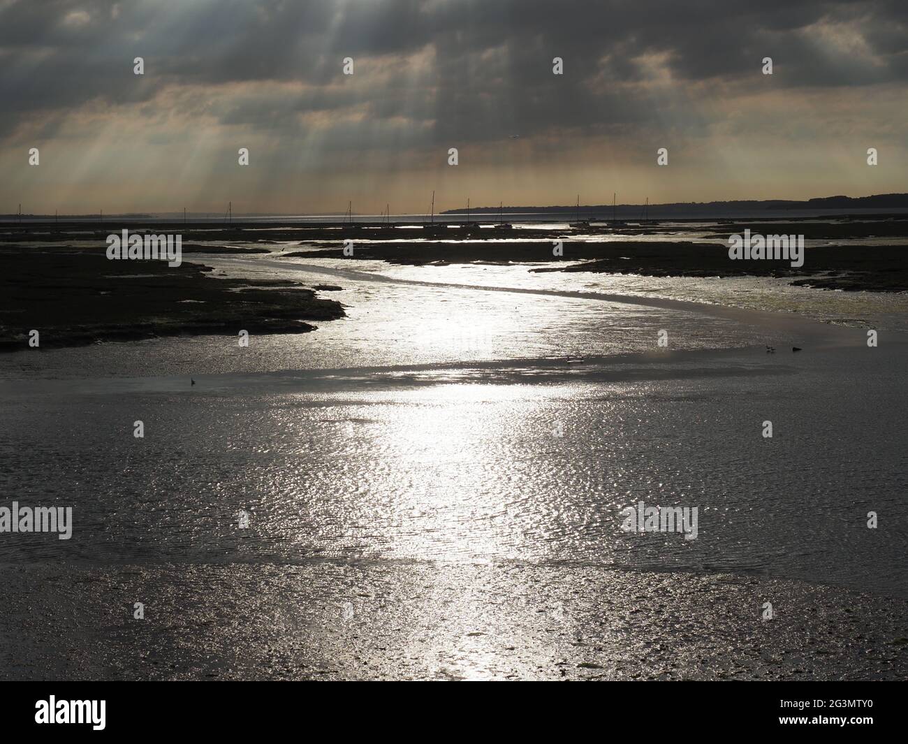 Pennington marshes hi-res stock photography and images - Alamy