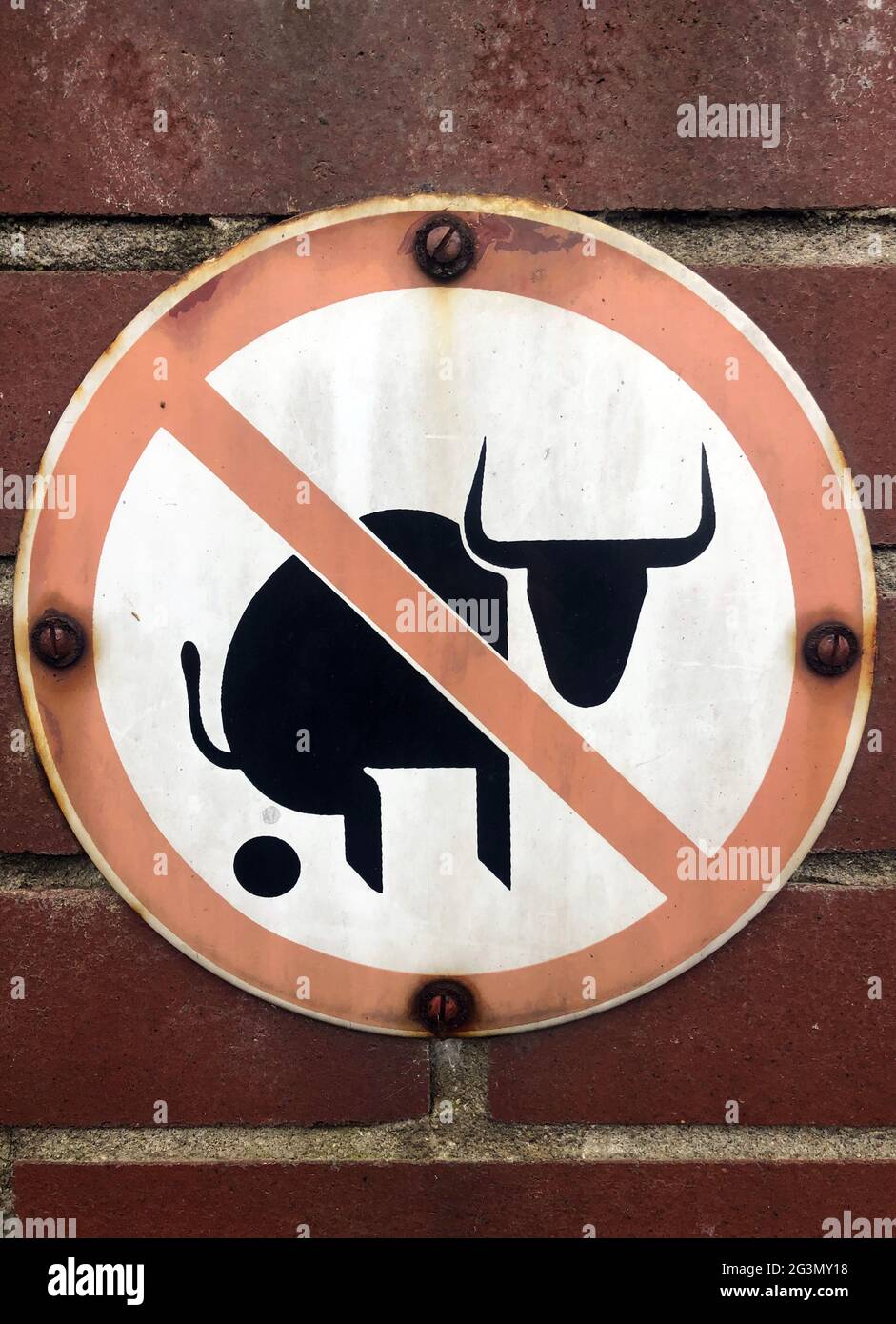 Defecate hi-res stock photography and images - Alamy