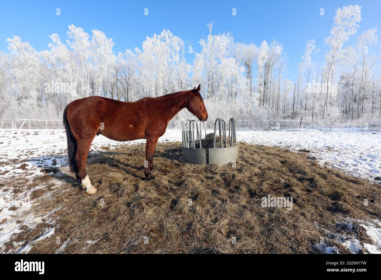 Round bale hay rack hi-res stock photography and images - Alamy