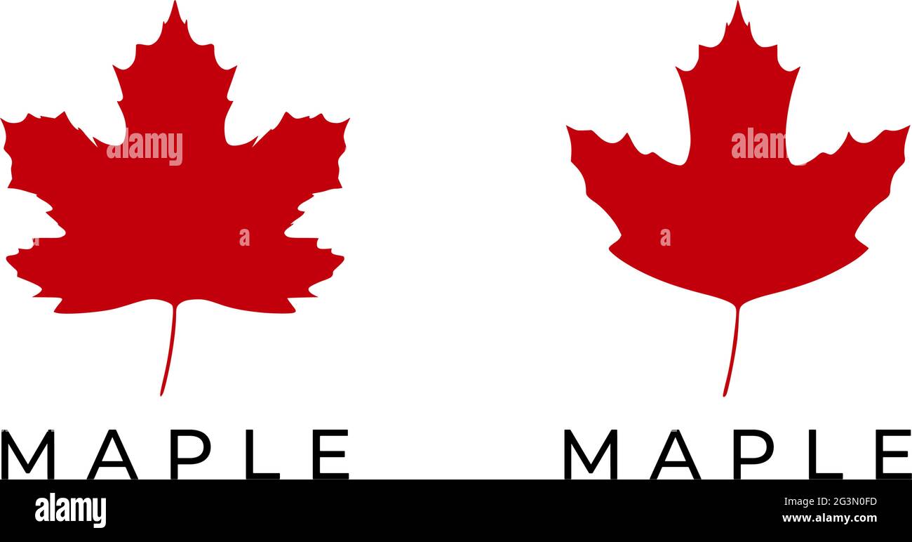 Maple leaf logo isolated on white background. Vector illustration Stock ...