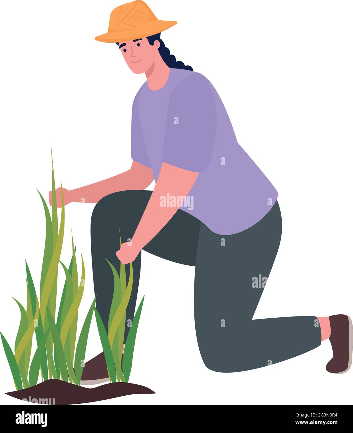 Cultivated plants and agriculture Stock Vector Images - Alamy