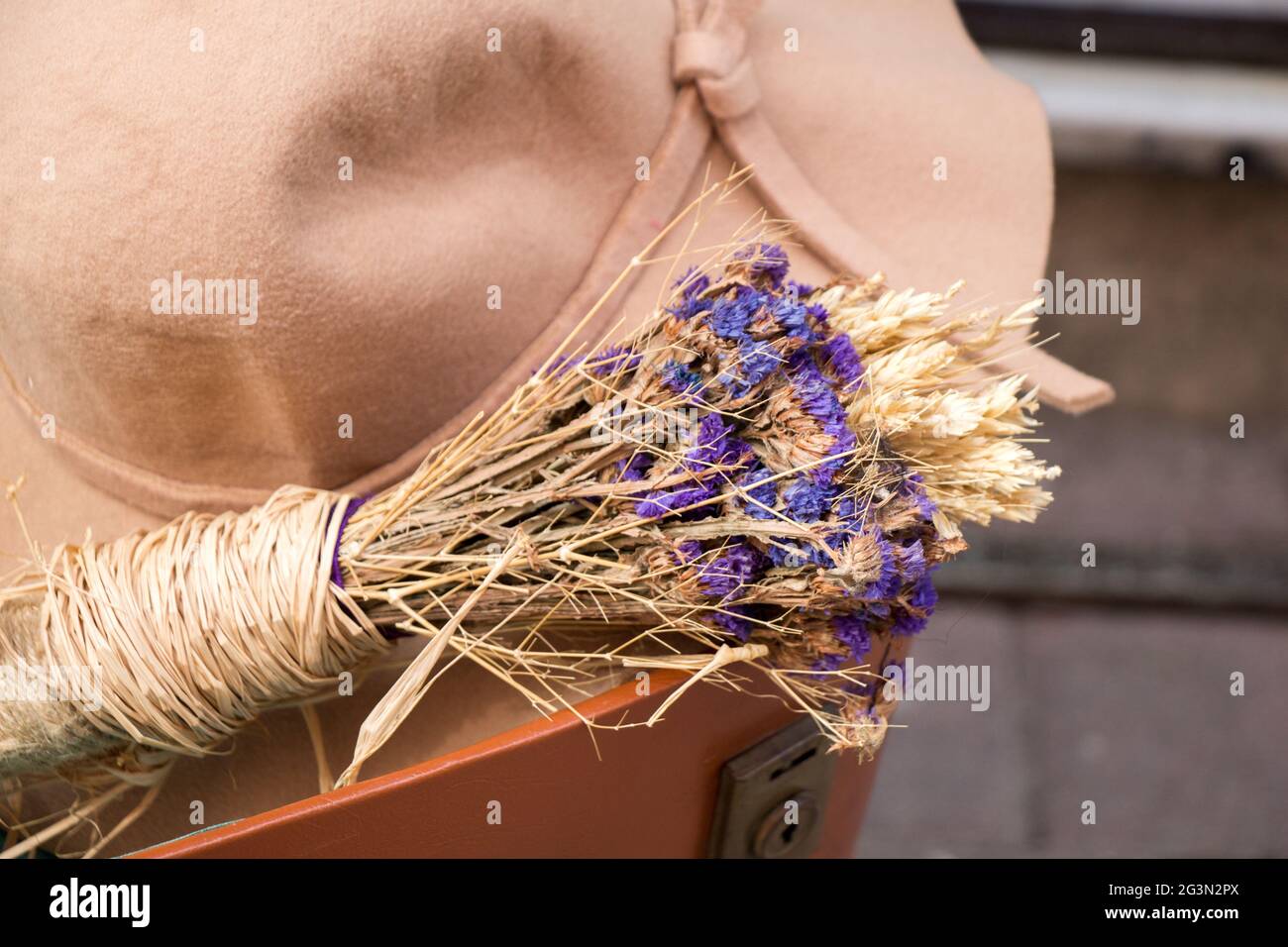 Dry field of flowers hi-res stock photography and images - Alamy