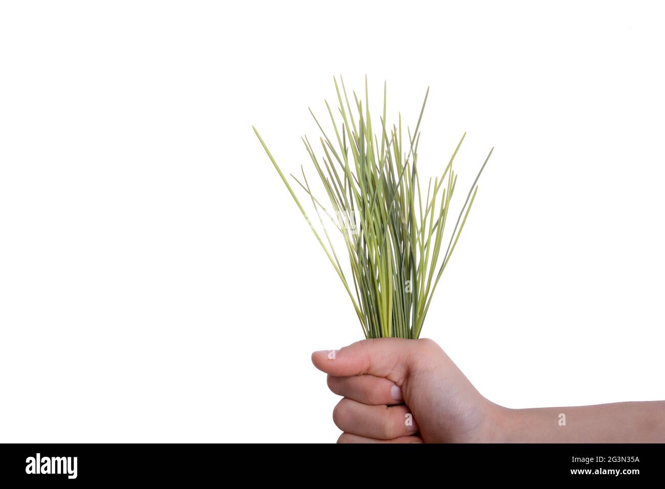 Hand weed hi-res stock photography and images - Alamy