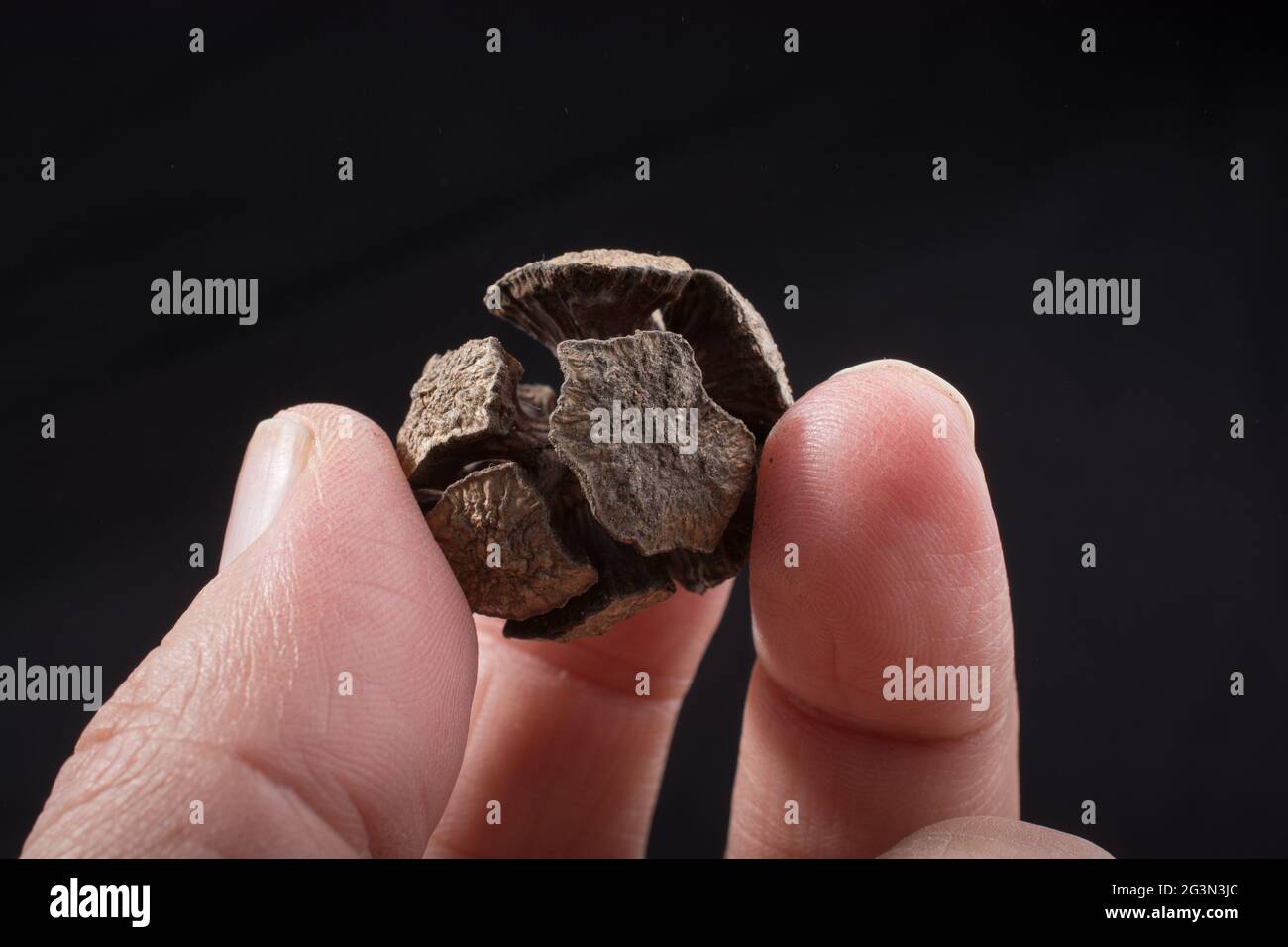 Pod hand hi-res stock photography and images - Alamy