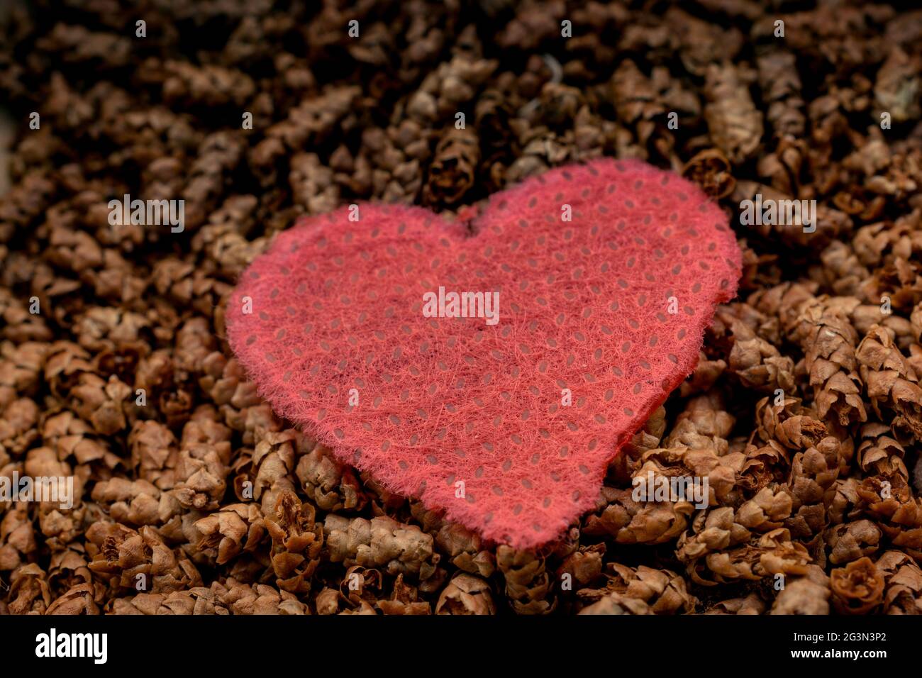 Heart shaped objects on leaves Stock Photo - Alamy