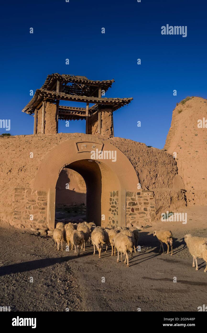 The ancient city and sheep chaser Stock Photo - Alamy