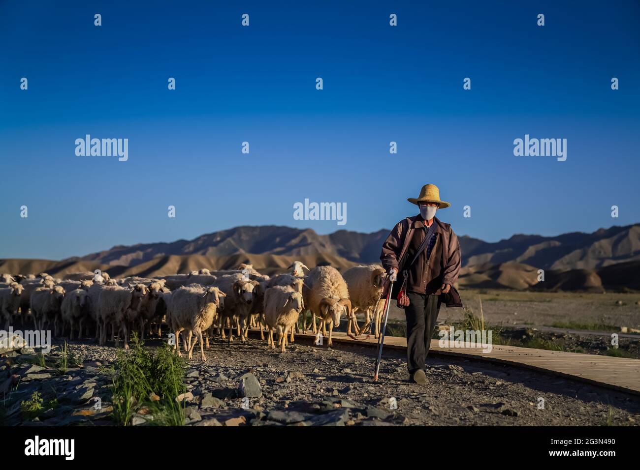 The ancient city and sheep chaser Stock Photo - Alamy