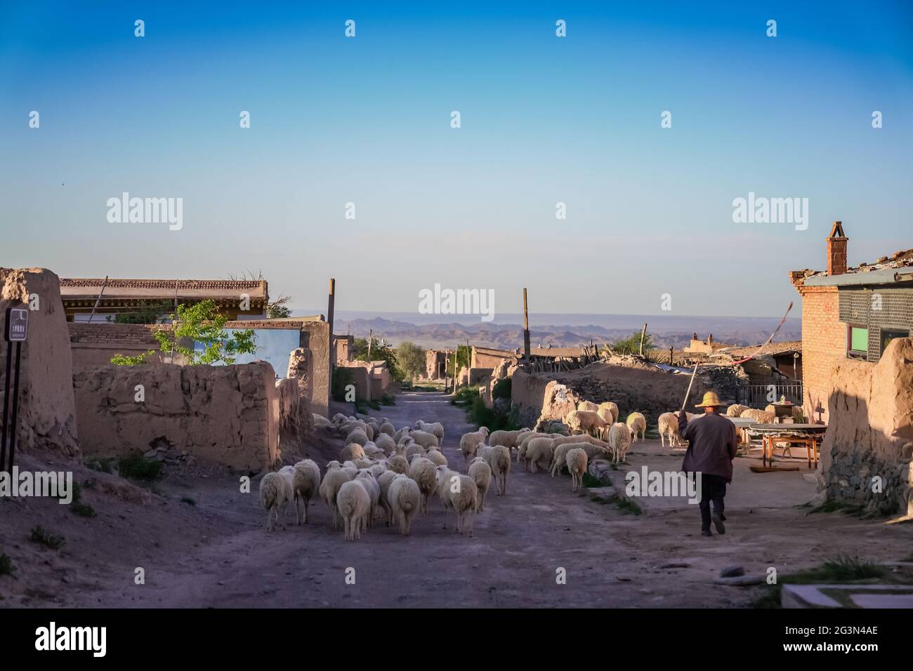 The ancient city and sheep chaser Stock Photo - Alamy