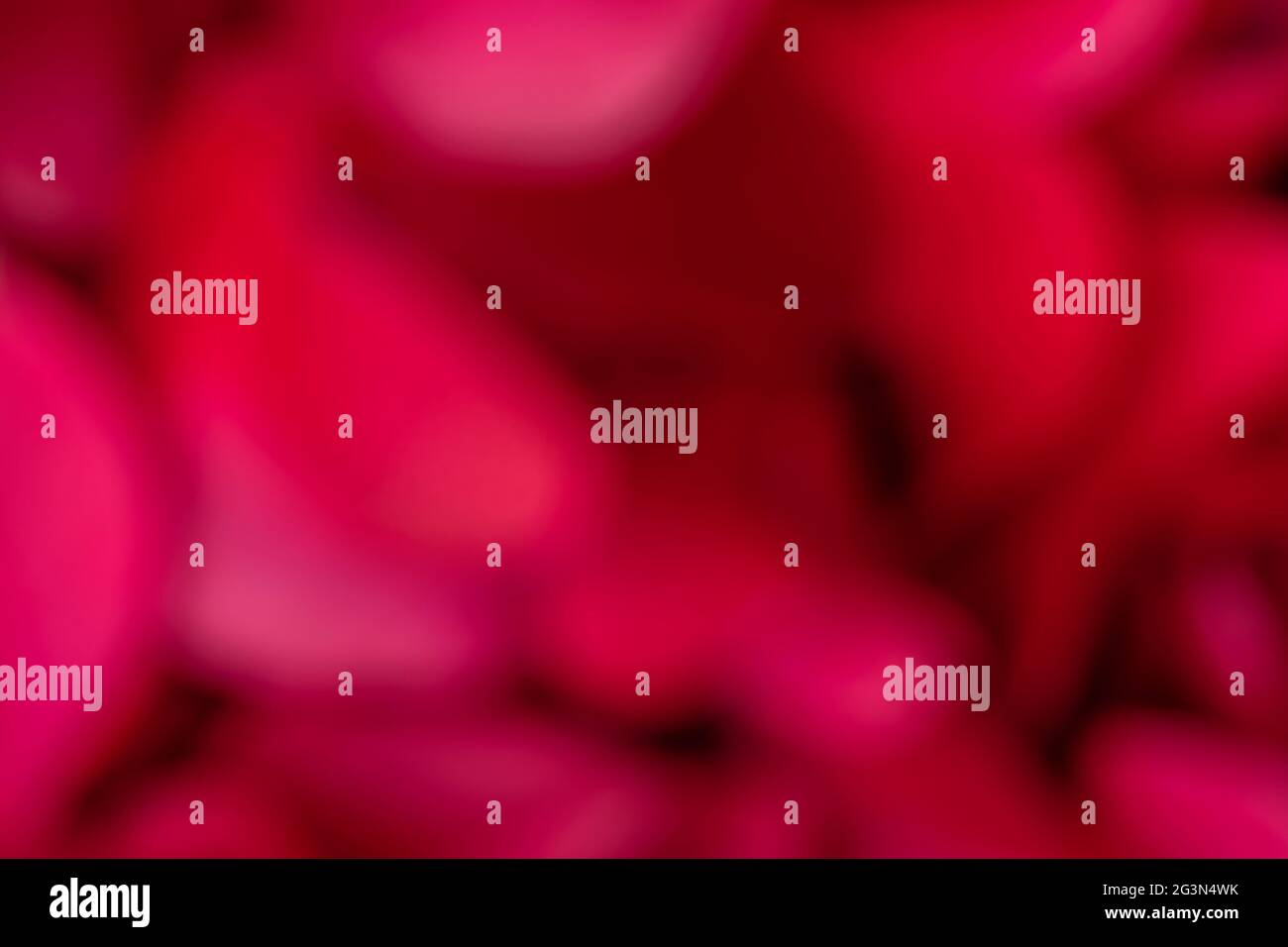 Abstract red blurred background. Defocused natural texture of flowers close up Stock Photo - Alamy