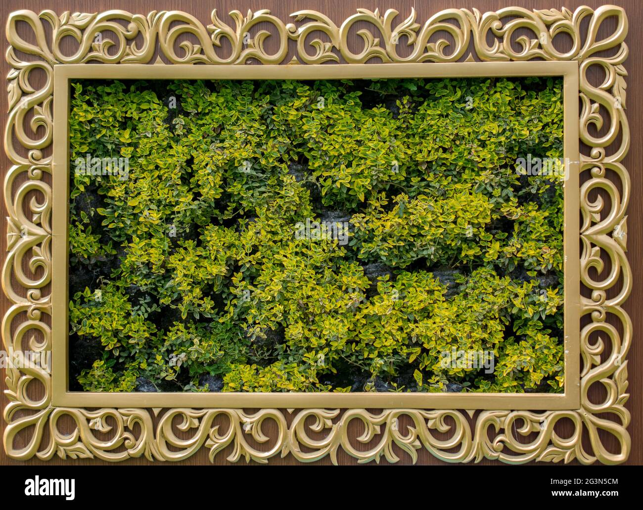 Material frame hi-res stock photography and images - Alamy