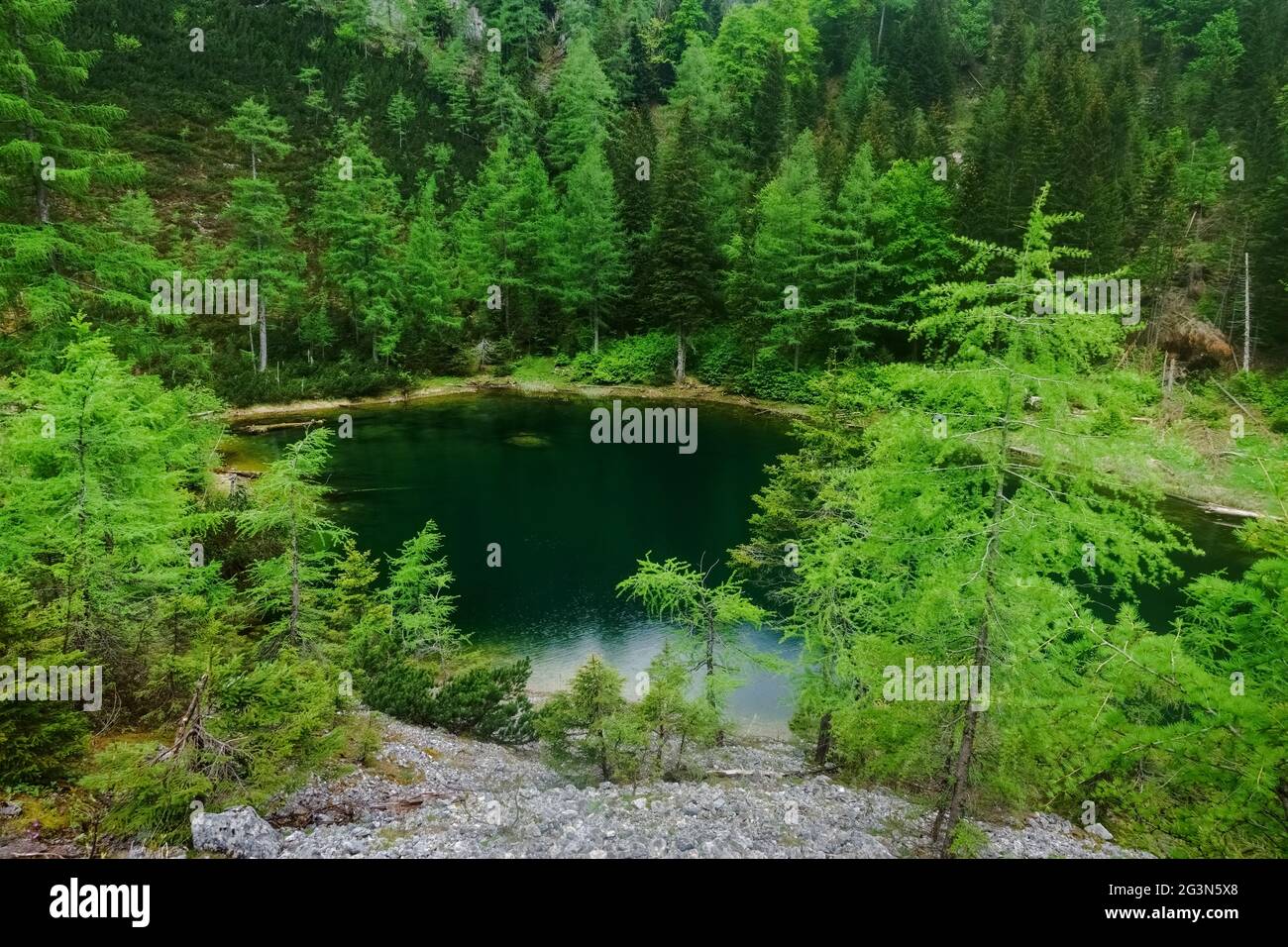 Round panorama from tree green hi-res stock photography and images - Alamy
