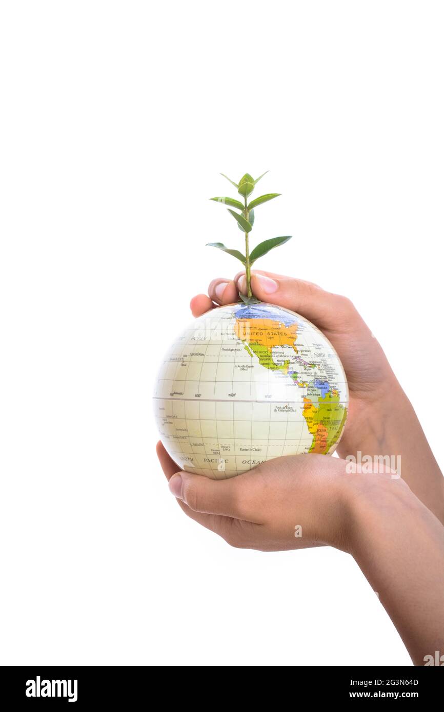 Hand with tree seedling hi-res stock photography and images - Alamy